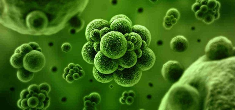 How to prevent the spread of germs in hospitals | CDE Almería - Centro ...