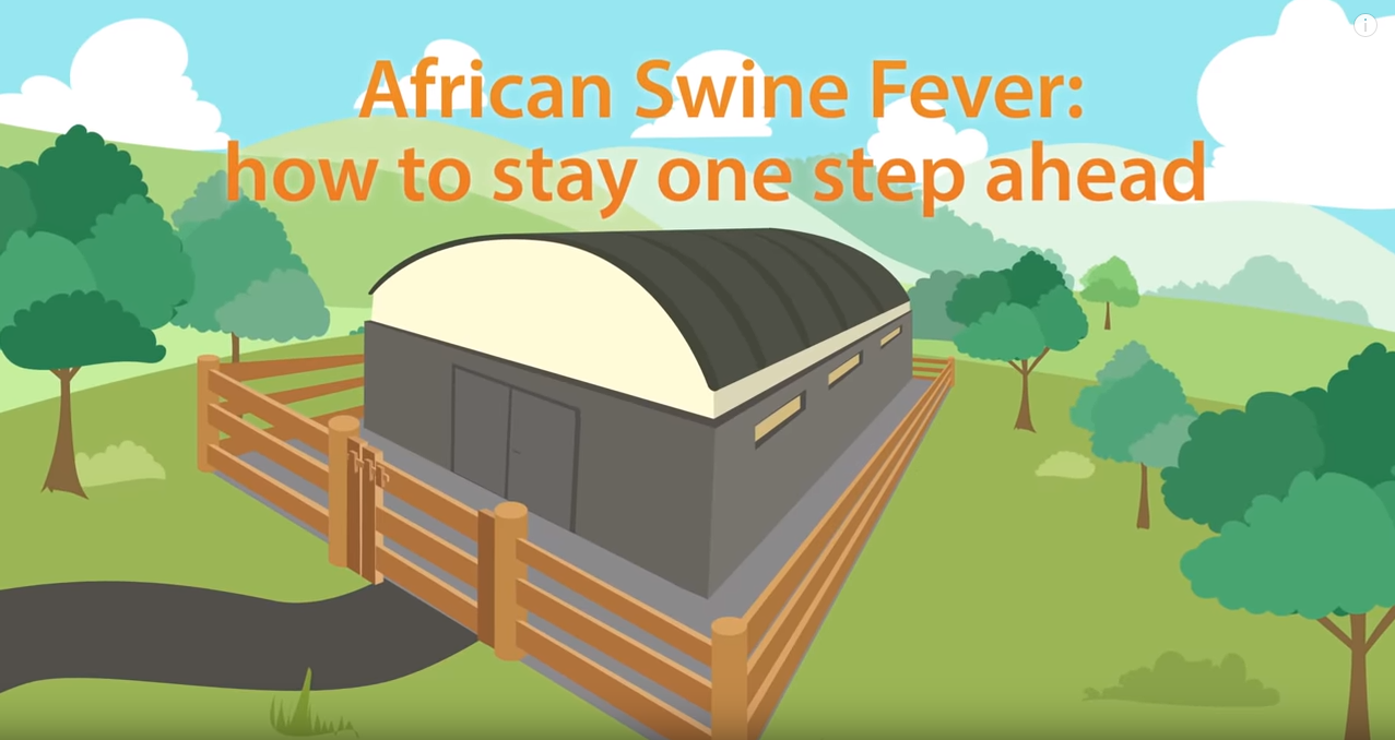 African Swine Fever: how to stay one step ahead | CDE Almería - Centro ...