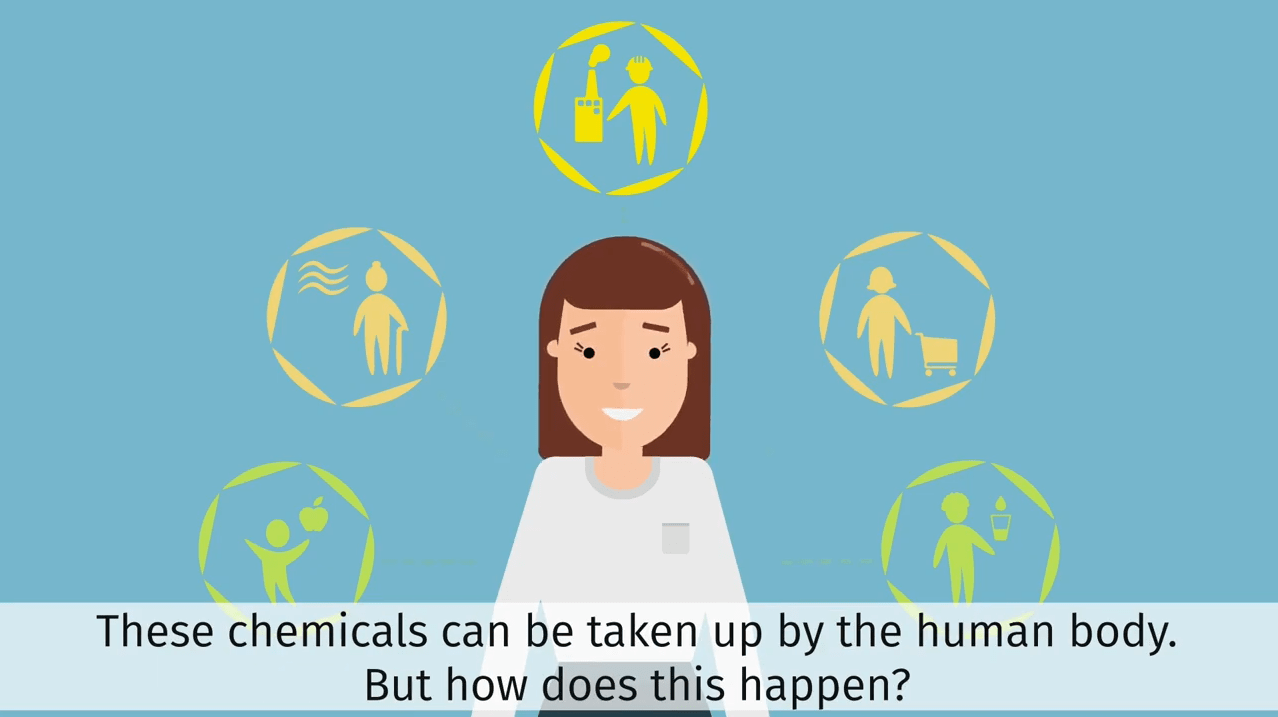 HBM4EU – How The Body Takes Up Chemicals – English | CDE Almería ...