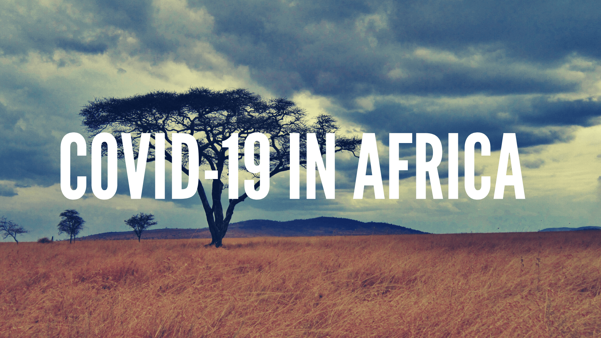 Coronavirus Present Situation in Africa. South Africa 58.568 cases ... Coronavirus Present Situation in Africa. South Africa 58.568 cases ...