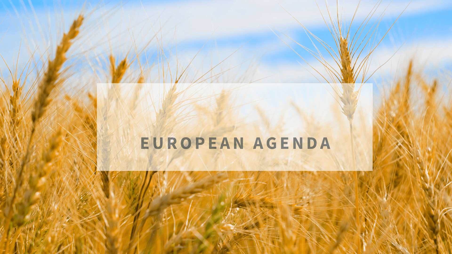 EUROPEAN AGENDA: Agriculture, Livestock Farming and Fisheries | CDE ...