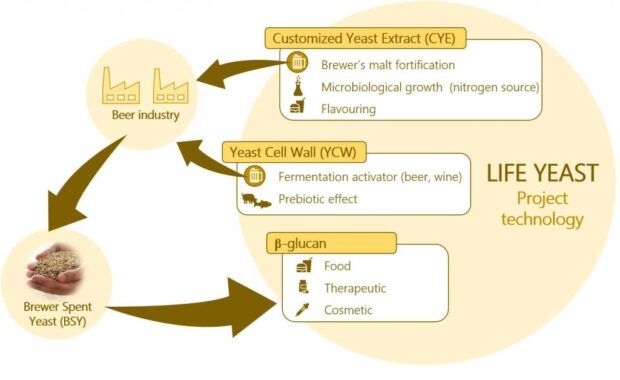 LIFE YEAST: Turning brewer's yeast into new bioproducts | CDE Almería ...