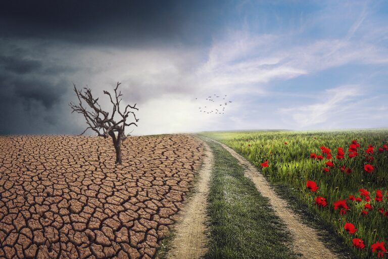 H2020: Restoring biodiversity and ecosystem services | CDE Almería ...