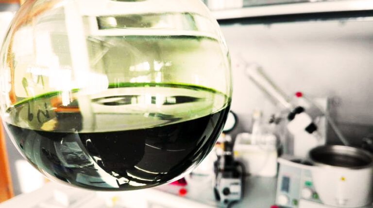 VOPSA2.0: The use of microalgae in cosmetics | CDE Almería - Centro de ...