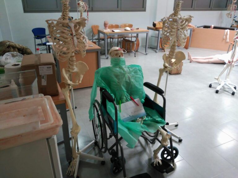 Innovando en la enseñanza práctica en ciencias de la salud ...