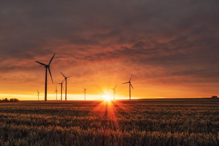 In A First The Eu Produced More Energy From Renewables Than Fossil