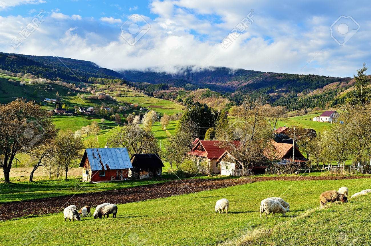 Easier access to EU funding for rural areas thanks to EU Rural Toolkit ...
