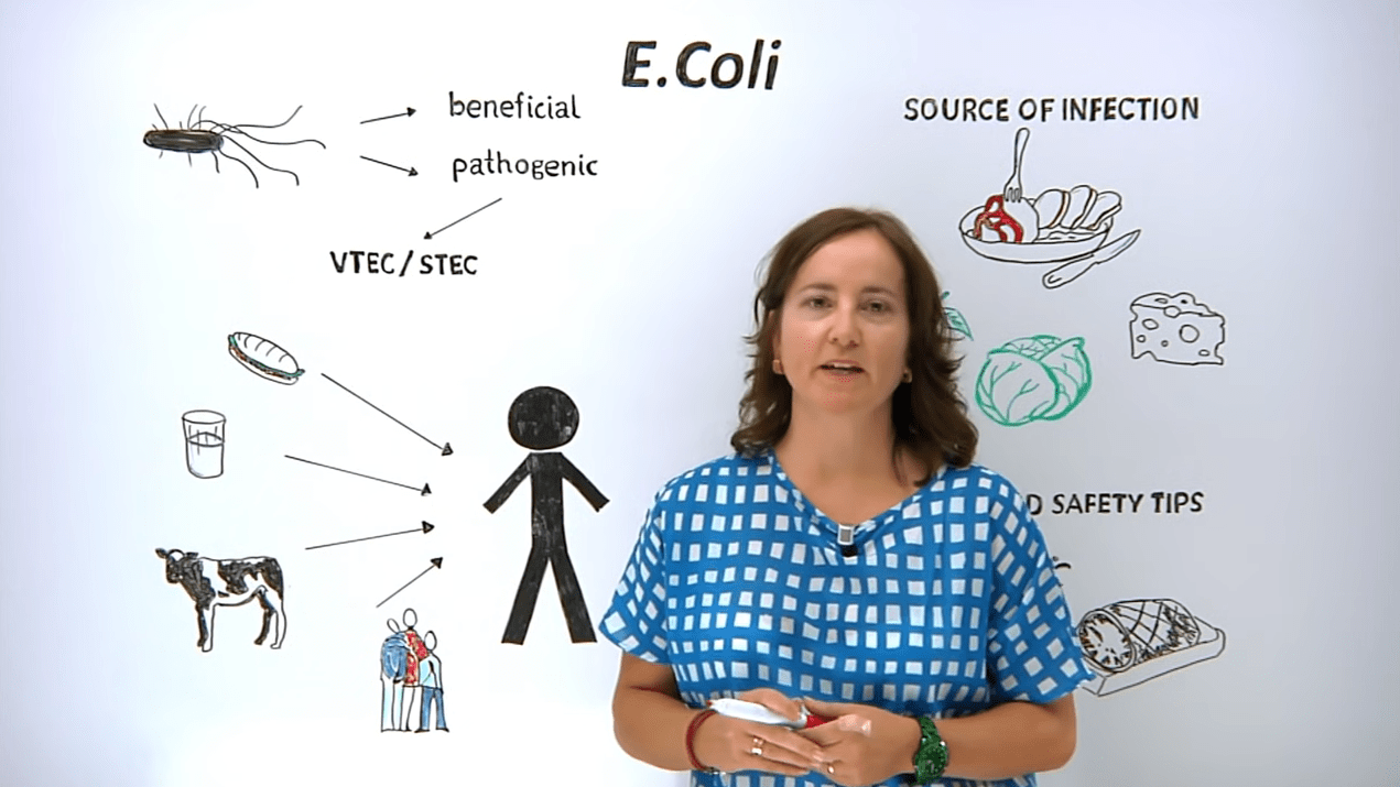 What is E.Coli? What can you do to protect yourself and others? | CDE ...