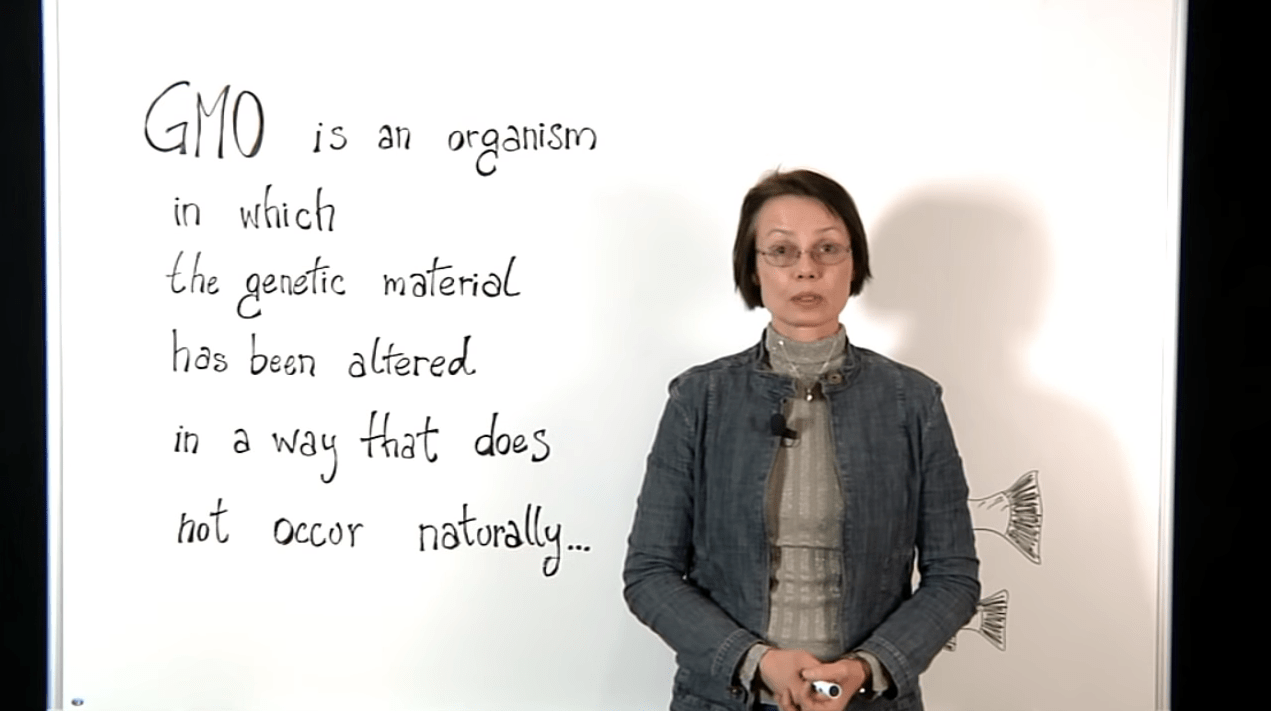 What are GM animals? | CDE Almería - Centro de Documentación Europea ...