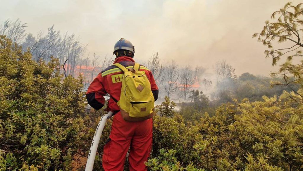Forest fires in Greece: EU mobilises firefighting assistance | CDE ...