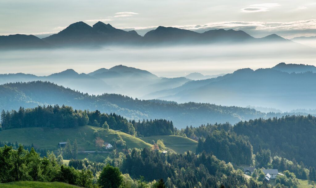 European Commission proposes Forest Monitoring Law to improve the ...