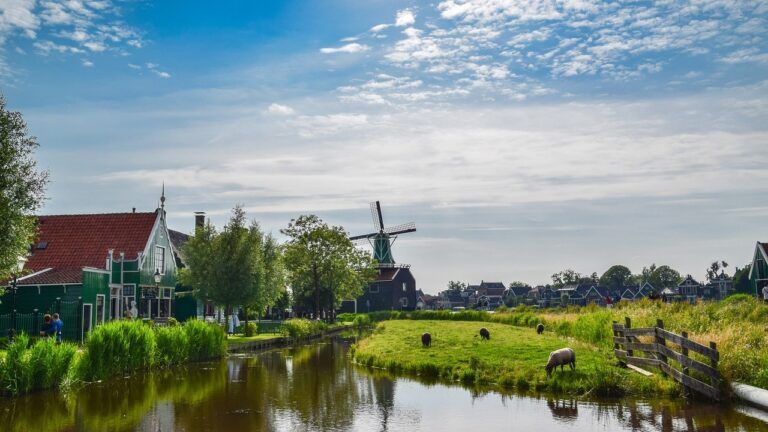 The Council adopted conclusions on a long-term vision for rural areas ...